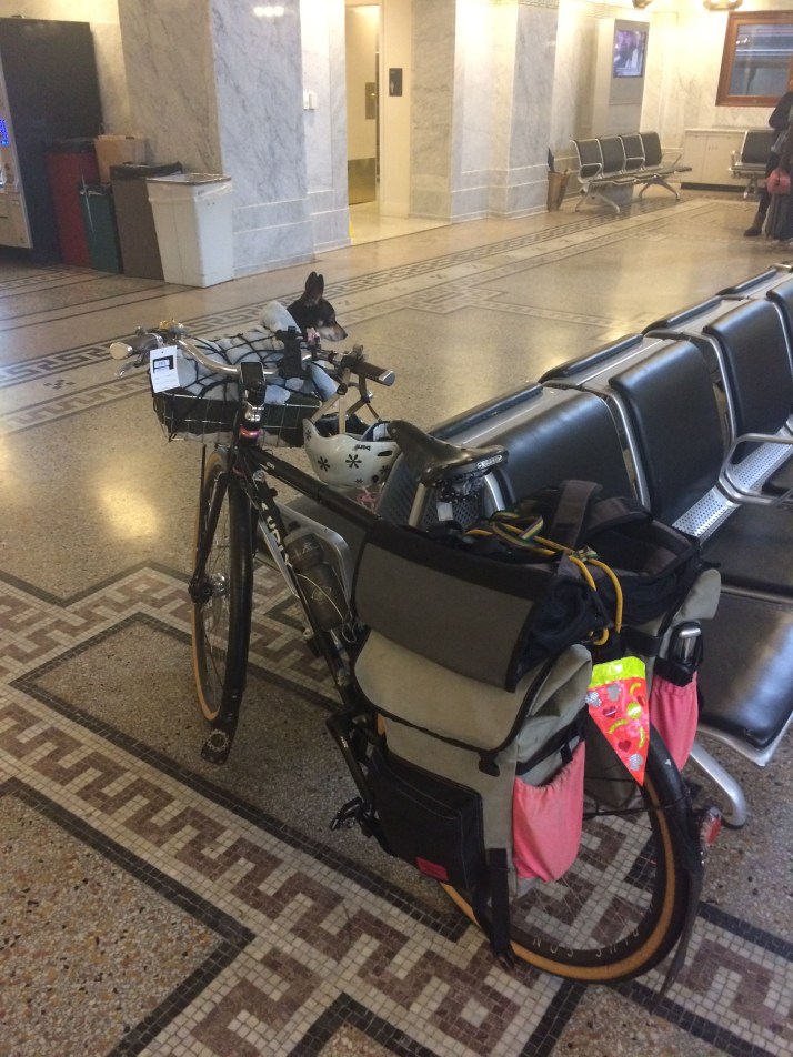 Portland with bike and dog! And Amtrak Coast Starlight vs. Amtrak ...